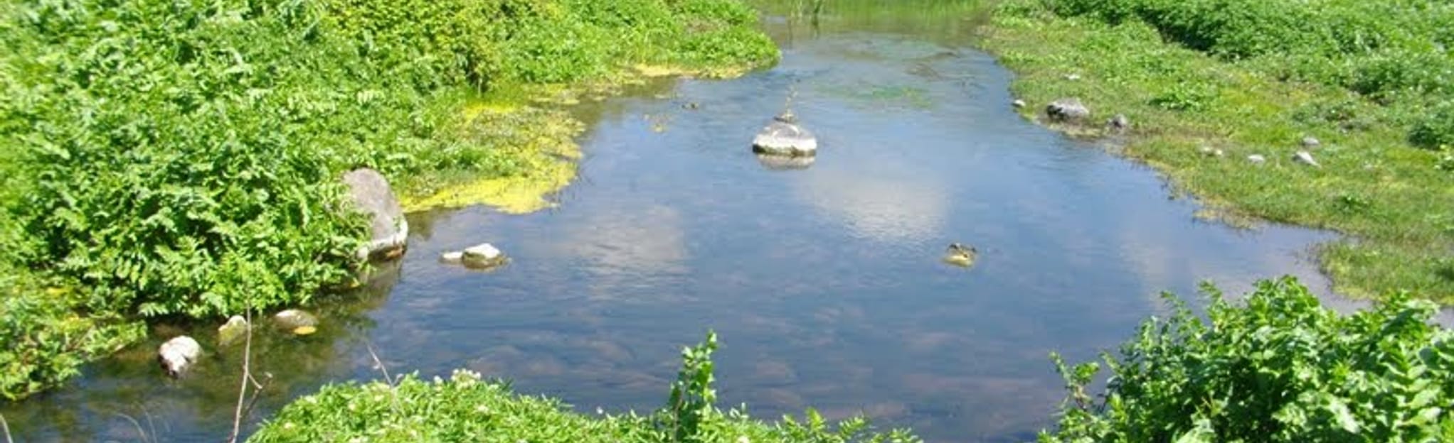 Snir to Kella Alon Red Trail: 0 Reviews, Map - Golan Heights, Israel ...