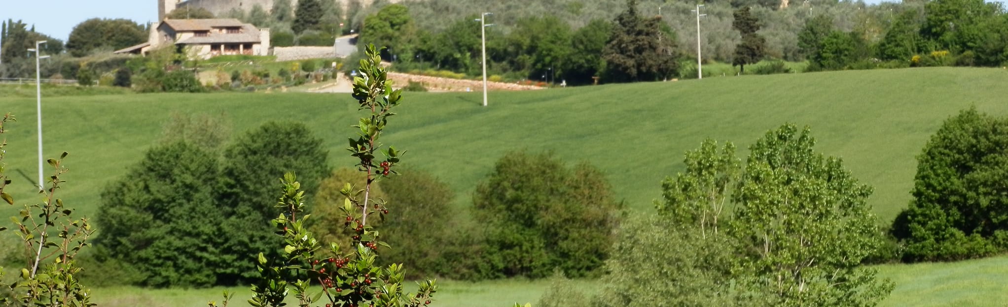 Bosco di Fungaia, Tuscany, Italy - 3 Reviews, Map | AllTrails