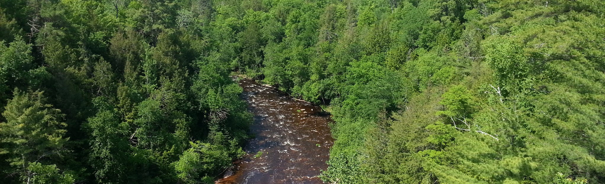 Agate Falls Trail, Michigan - 155 Reviews, Map | AllTrails