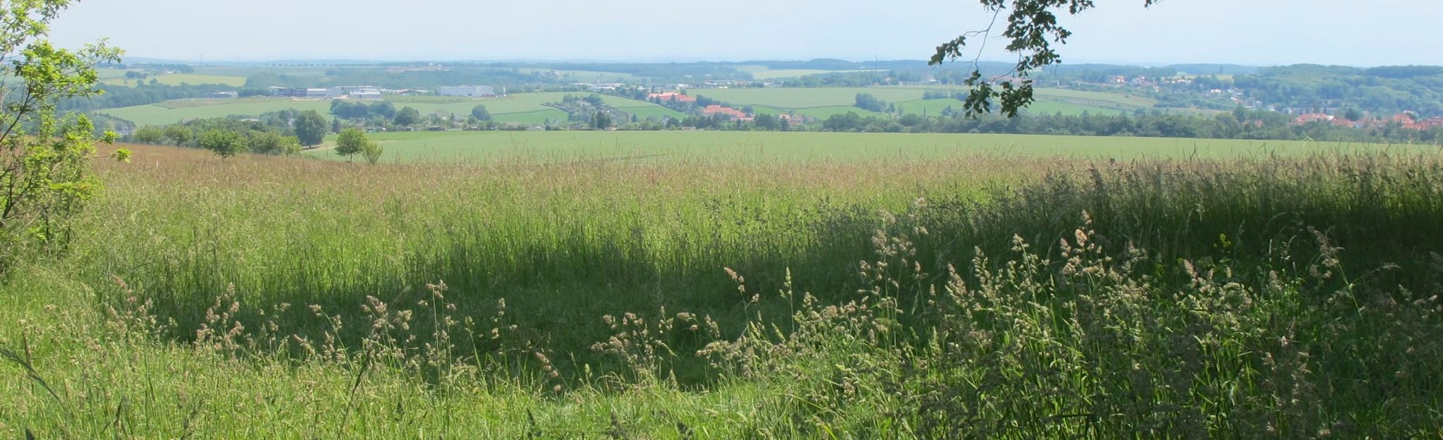 Crimmitschau - Kieferberg Runde, Saxony, Germany - 2 Reviews, Map ...