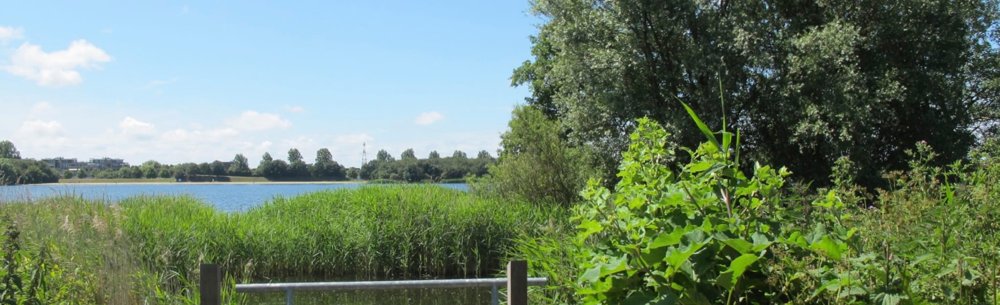 Klinkenbergerplas: 25 foto's - Zuid-Holland, Nederland | Wandelen ...