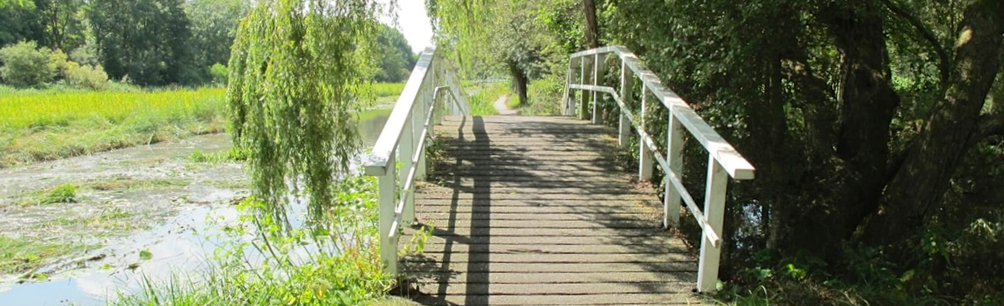 Delftse Hout: Station Pijnacker - Station Delft, South Holland ...