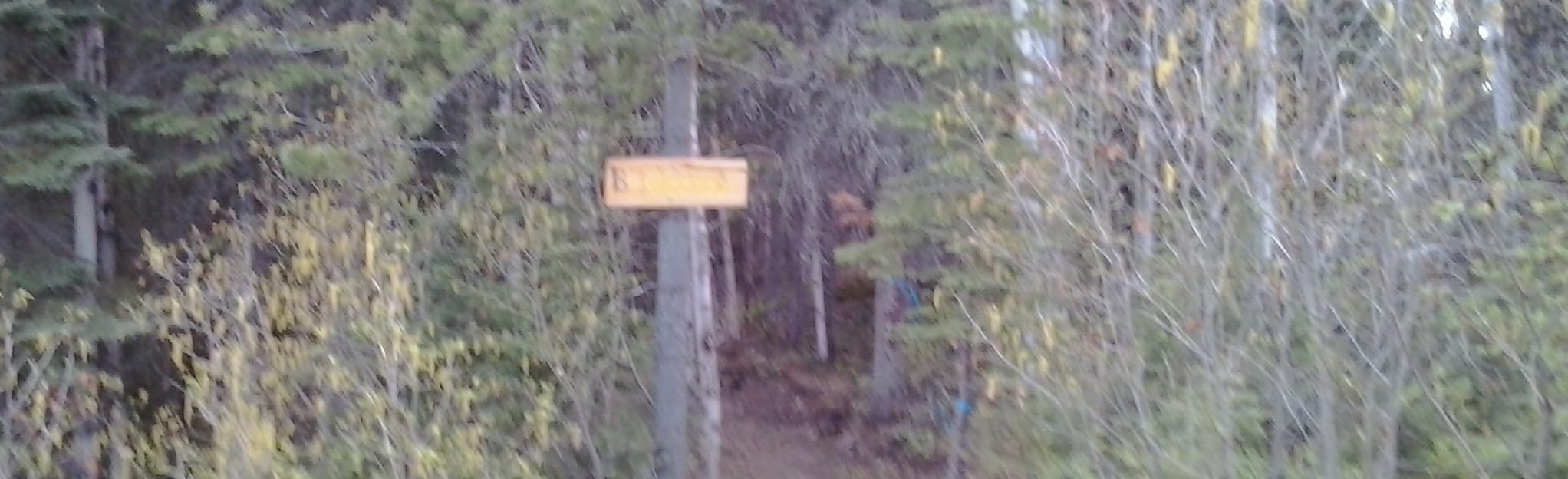 Full Boar: 1 Reviews, Map - British Columbia, Canada | AllTrails