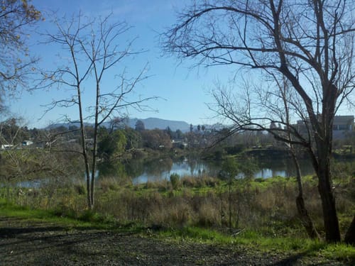 Best Hikes and Trails in Oxbow Preserve | AllTrails