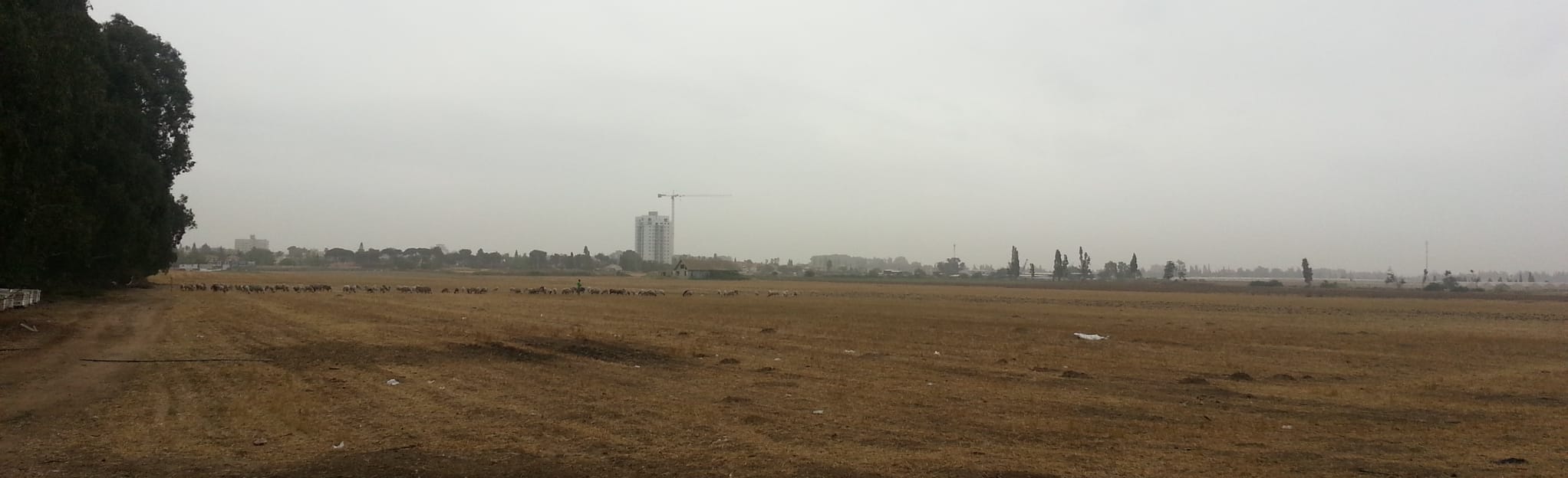 Hadera Forest and Sharon Park: 18 Fotos - Haifa, Israel | Wandern ...