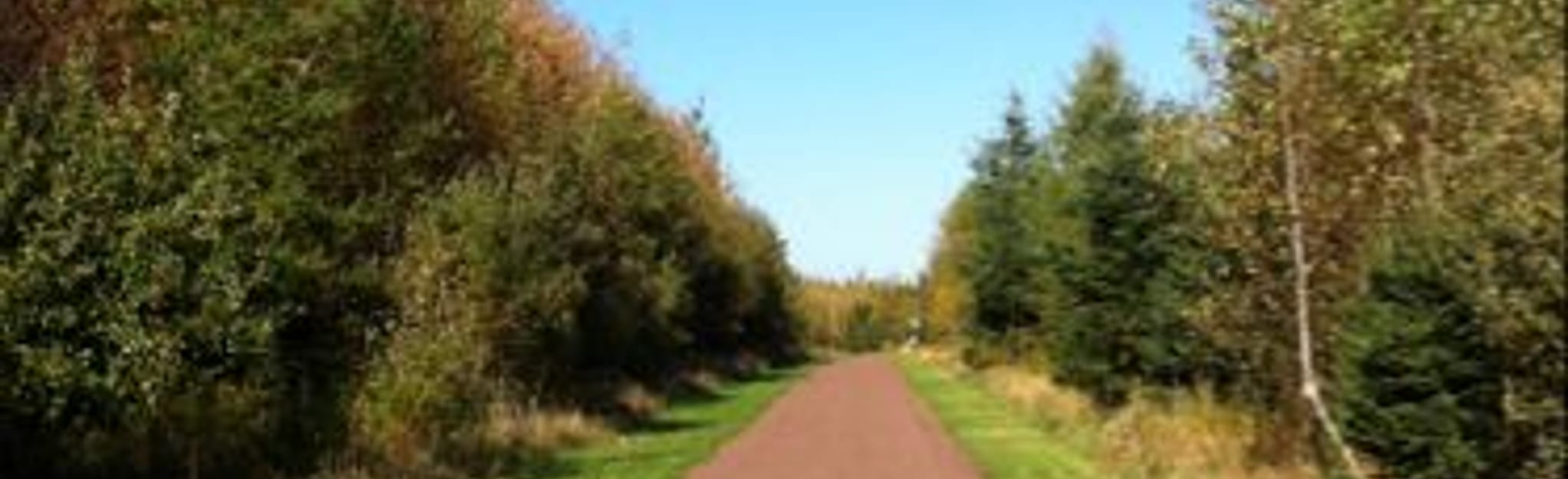 Confederation Trail: Royalty Junction to Charlottetown, Prince Edward ...