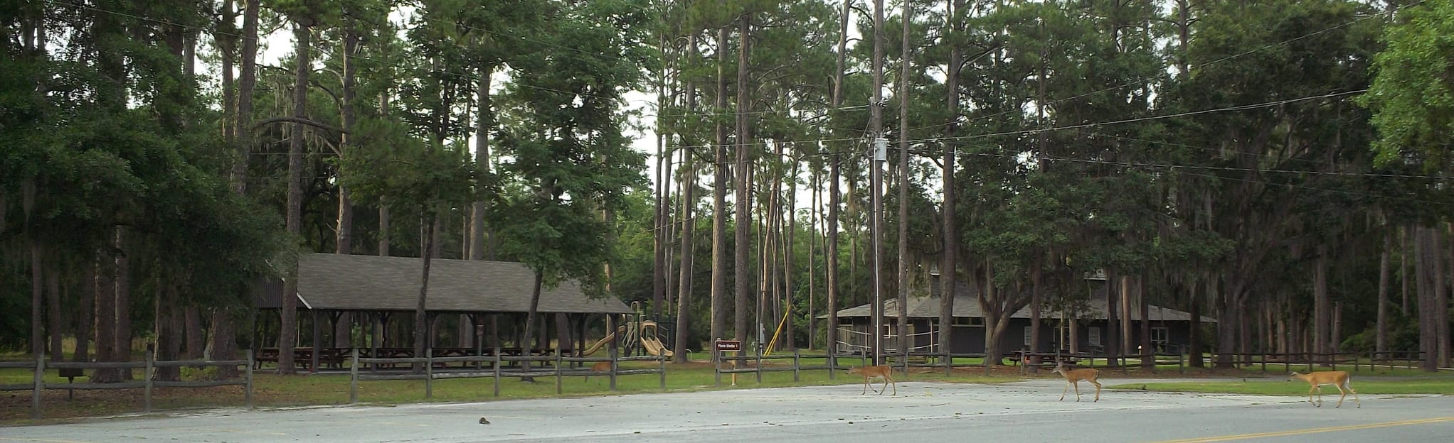 AllTrails | Stephen C. Foster State Park Campground: 18 Reviews, Map ...