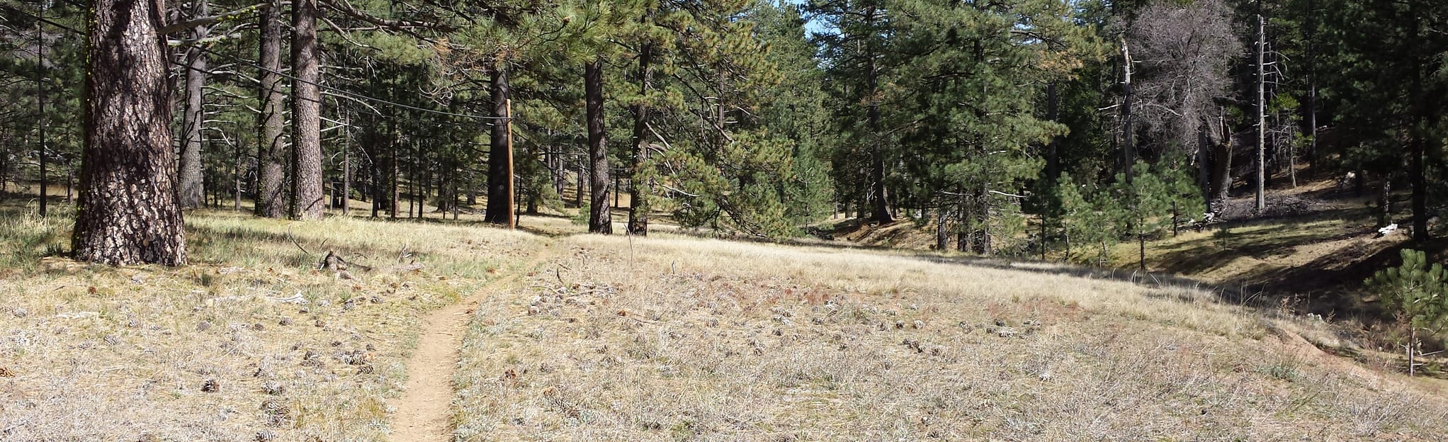 Sunset, Big Laguna, Red Tail, Verde Ravine, and Los Rasalies Loop: 31 ...