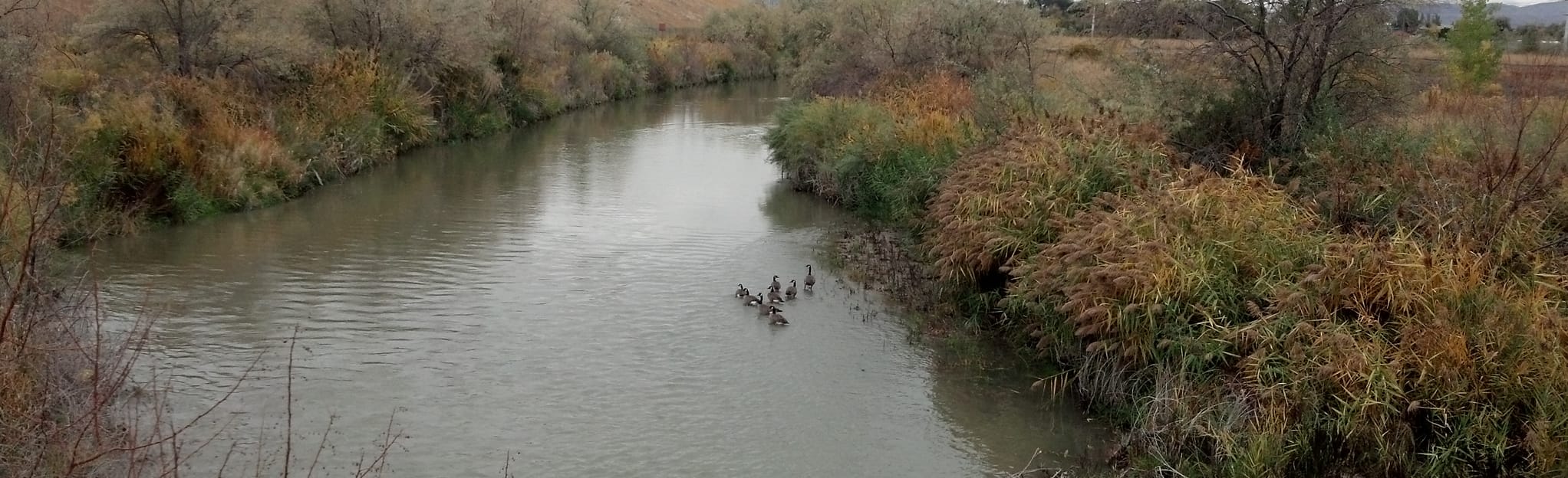 Jordan River Trail: Midvale Section, Utah - 156 Reviews, Map | AllTrails