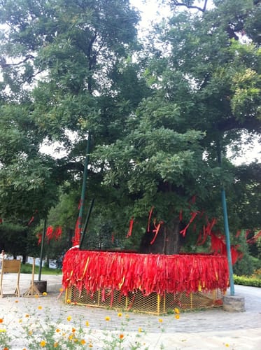 Best Hikes and Trails in Badachu Park | AllTrails