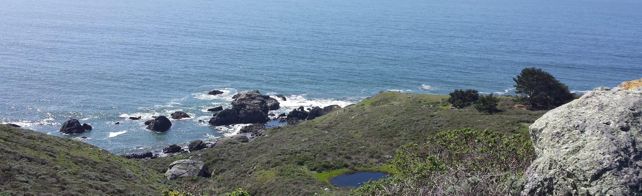 AllTrails | Rocky Point Trail: 36 Reviews, Map - California