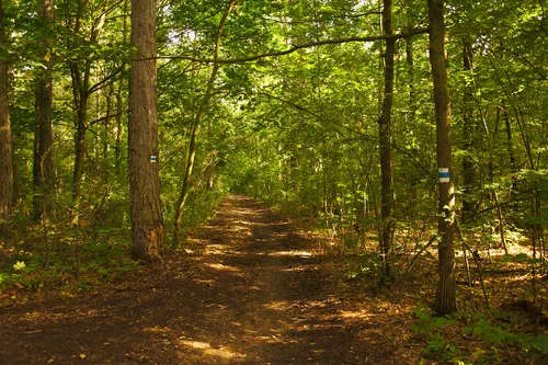 2023 Best Long Trails in Chráněná Krajinná Oblast (CHKO) Český kras ...