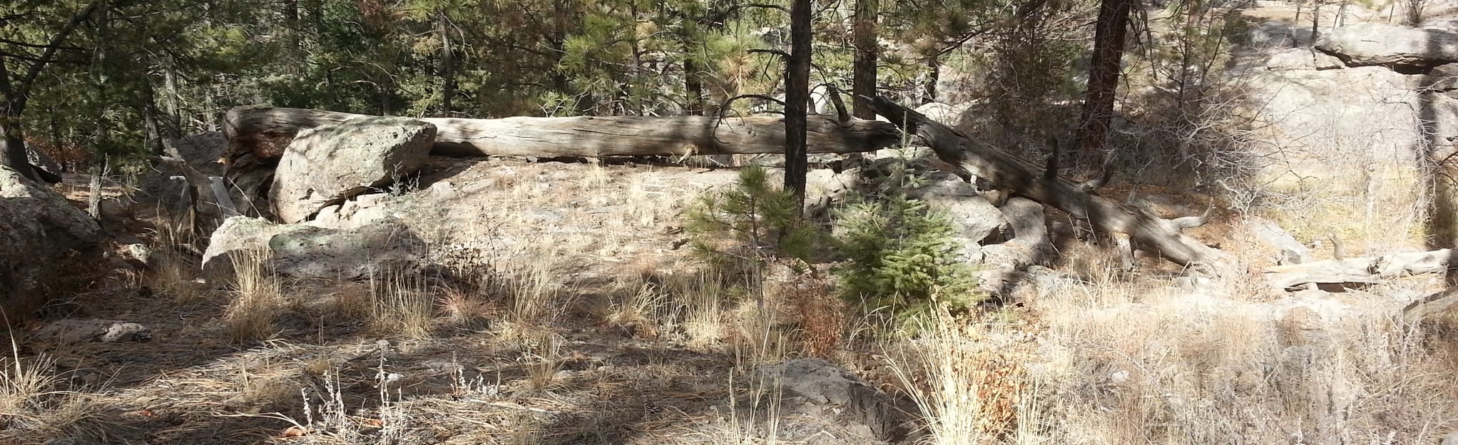 Acid Canyon: 123 Reviews, Map - New Mexico | AllTrails