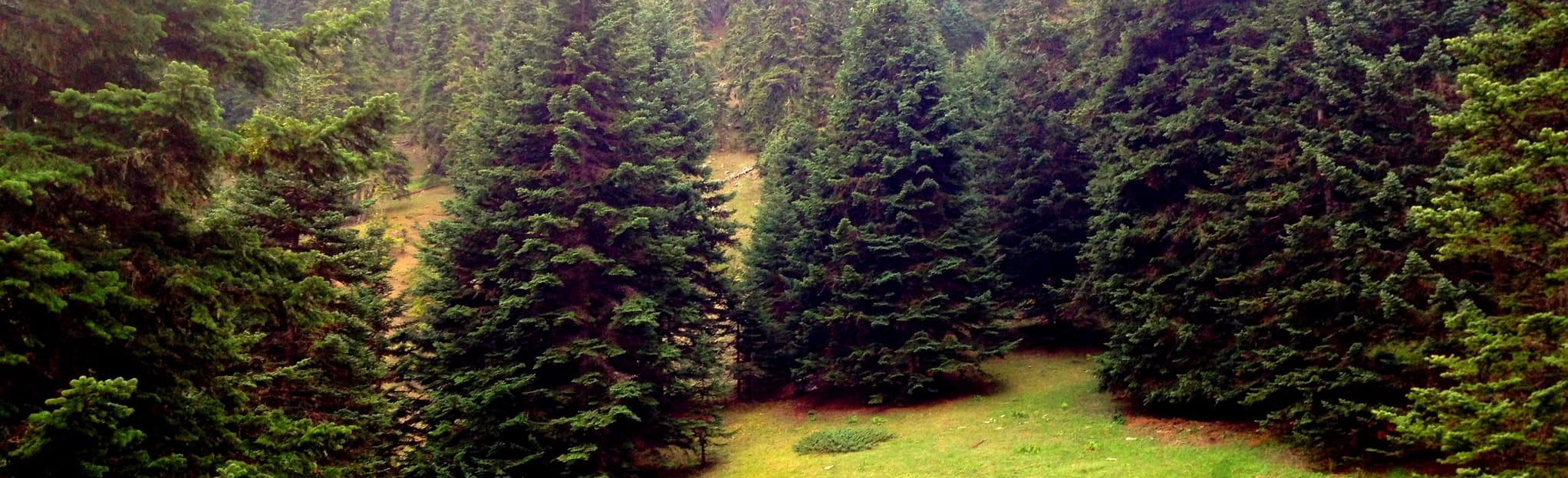 Pavliani - Loutra Ypatis: 0 Reviews, Map - Central Greece, Greece ...