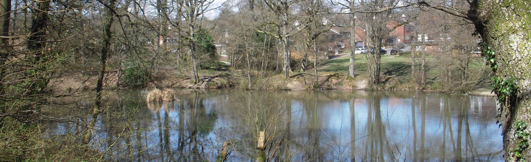 Worth Way, West Sussex, England - 68 Reviews, Map | AllTrails