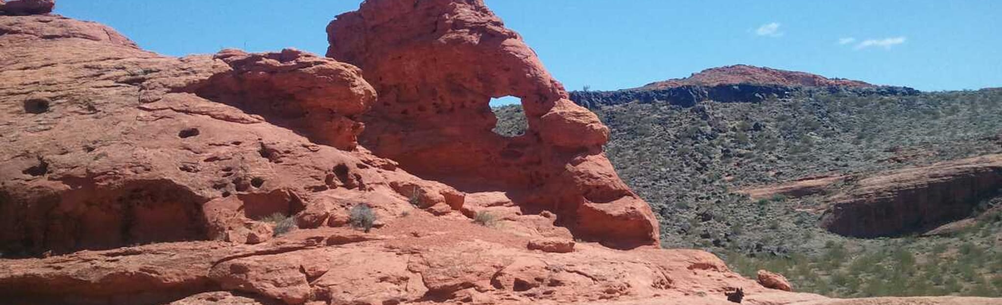 Paradise Canyon Trail, Utah - 625 Reviews, Map | AllTrails