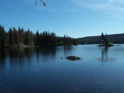 Best Hikes and Trails in Oyama Lake Recreation Site | AllTrails