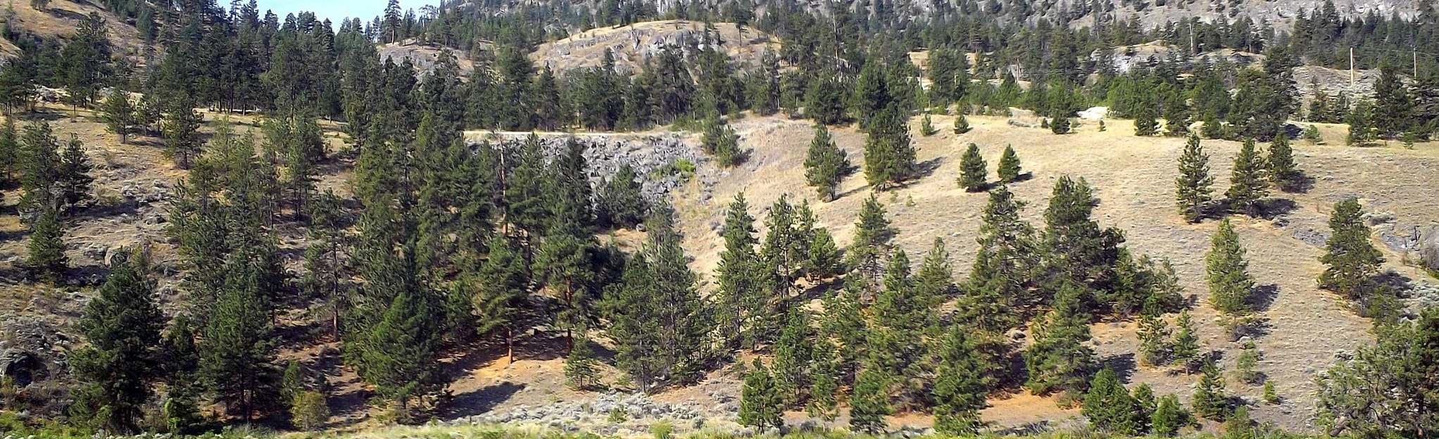 Skaha Lake Paddle: Penticton to Kaleden: 18 Photos - British Columbia ...