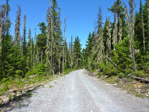 2023 Best 10 Off Road Driving Trails in Oregon | AllTrails