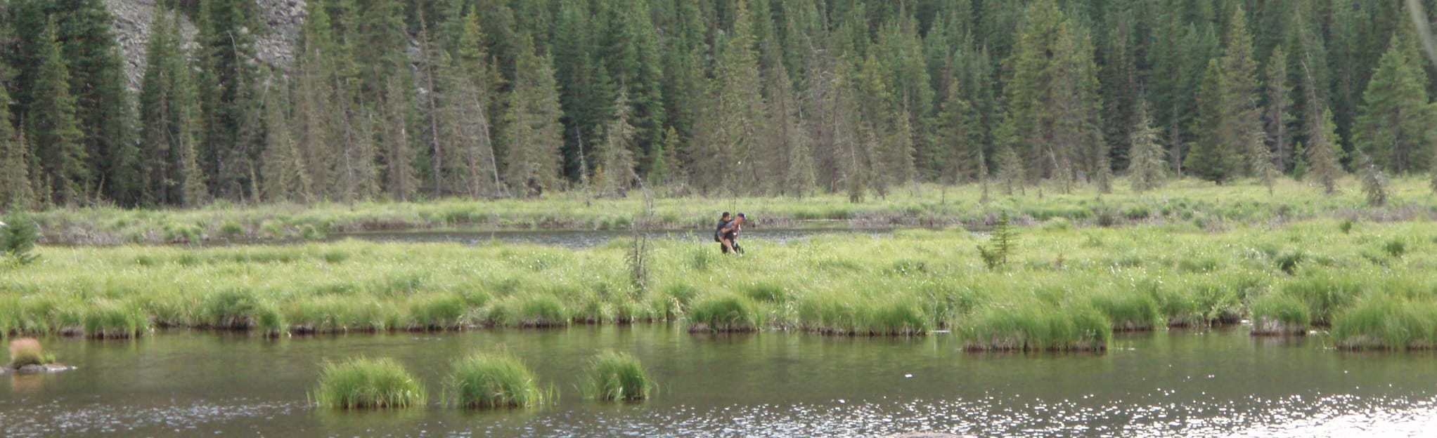 Slough Lake Trail, Montana - 30 Reviews, Map | AllTrails