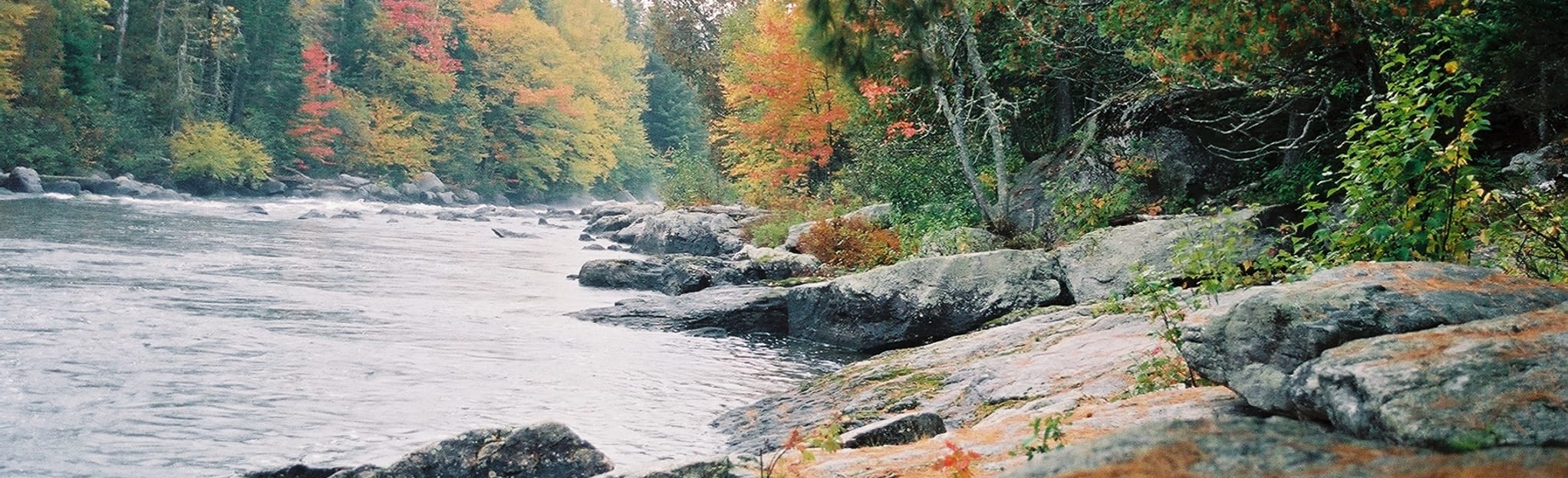 Rapid River Via Carry Road, New Hampshire - 6 Reviews, Map | AllTrails