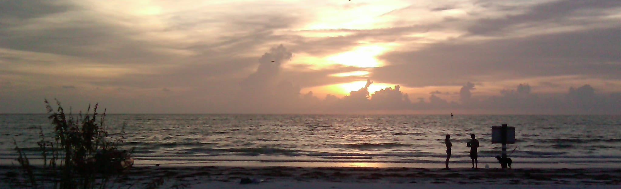 Kayaking Route to Shell Key, Florida - 21 Reviews, Map | AllTrails