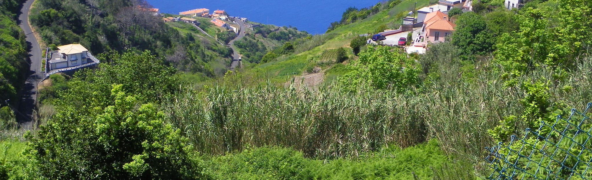 Trail of Levada Nova da Calheta | Map, Guide - Madeira, Portugal ...