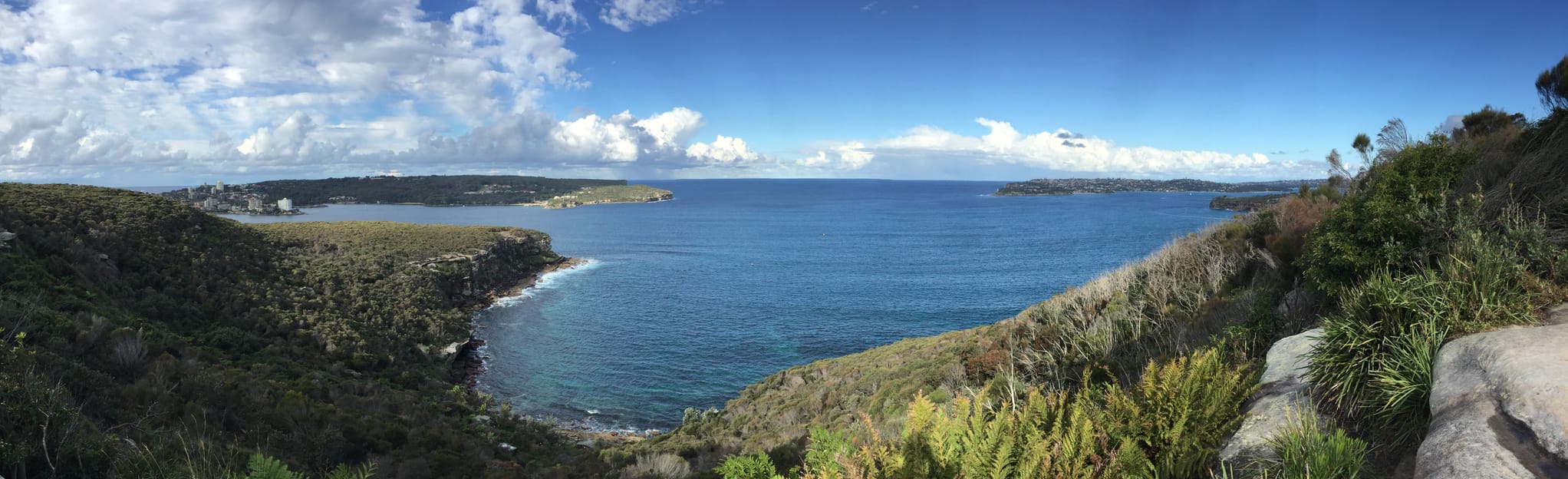 Spit Bridge to Manly Walk, New South Wales, Australia - 1,842 Reviews ...