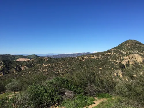 10 Best Hikes and Trails in Whiting Ranch Wilderness Park | AllTrails