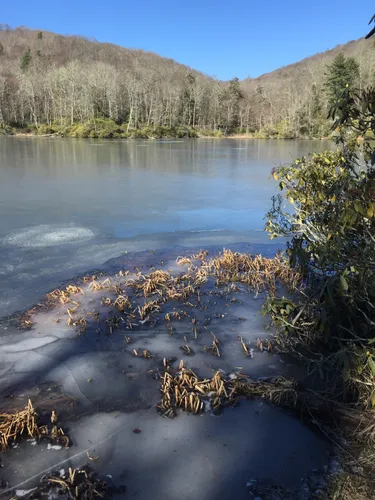 10 Best Hikes and Trails in Moses H Cone Memorial Park | AllTrails