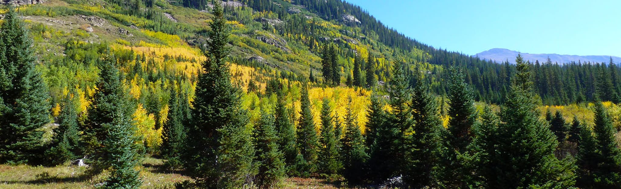 Red Buffalo Pass via Gore Creek Trail, Colorado - 263 Reviews, Map ...
