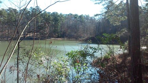 Best Hikes and Trails in Delta National Forest | AllTrails