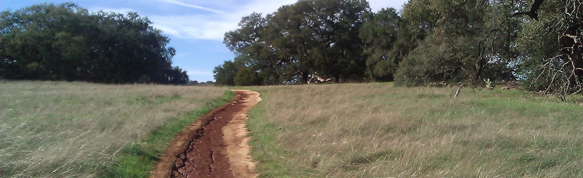 Monument Hill via Vernal Pool Trail: 34 Reviews, Map - California ...
