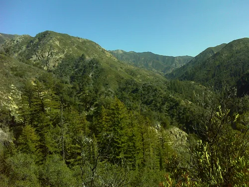 10 Best Hikes and Trails in Ventana Wilderness | AllTrails