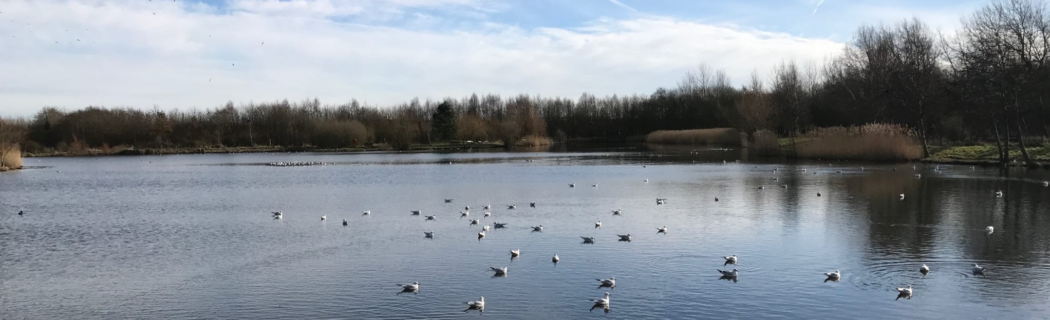 Rushcliffe Country Park Circular: 8 Reviews, Map - Nottinghamshire ...
