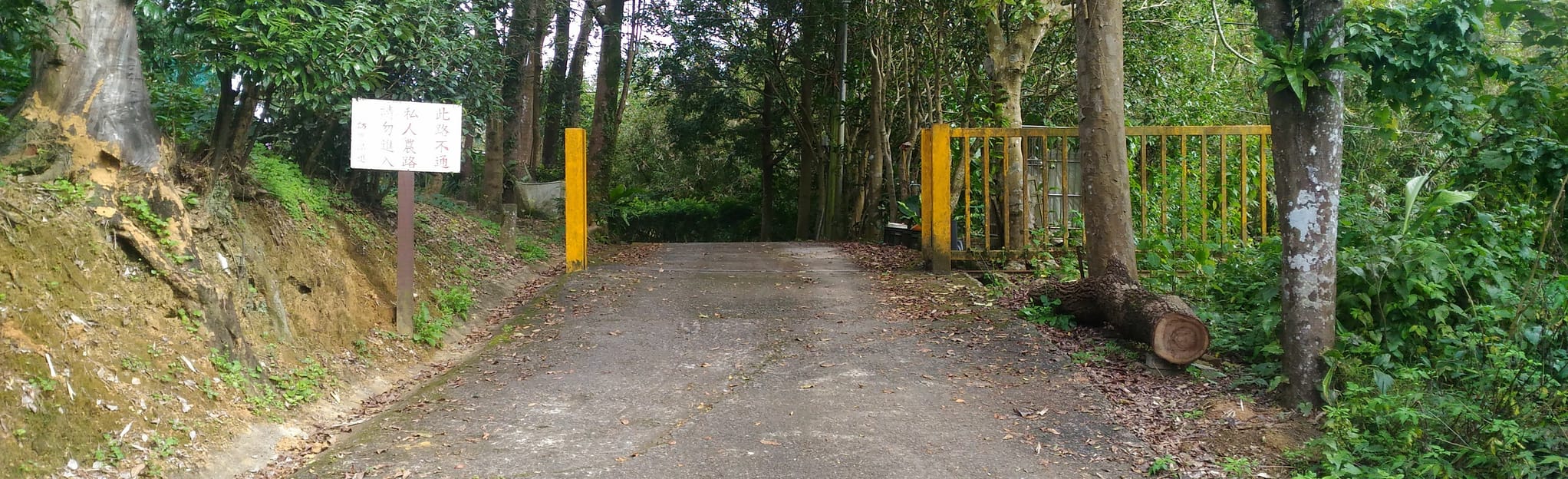 Lishan Bridge Promenade Trail: 63 Zdjęcia – Taipei City, Republika ...