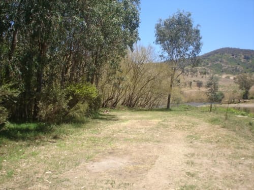 Best Hikes and Trails in Burrowa-Pine Mountain National Park | AllTrails