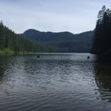 Cispus River to Blue Lake OHV Trail, Washington - 5 Reviews, Map ...