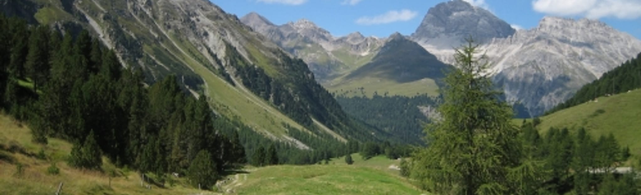 Bergün - Lai da Palpuogna - Albula Pass - Bernina Pass: 1 Reviews, Map ...