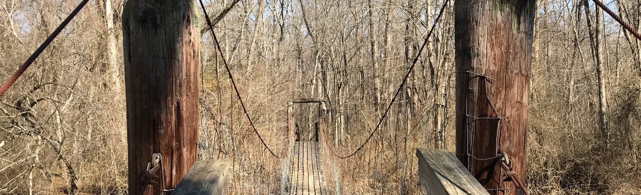 Willis River Trail - Virginia | AllTrails