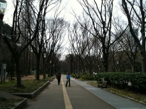 Best Hikes and Trails in Utsubo Park | AllTrails