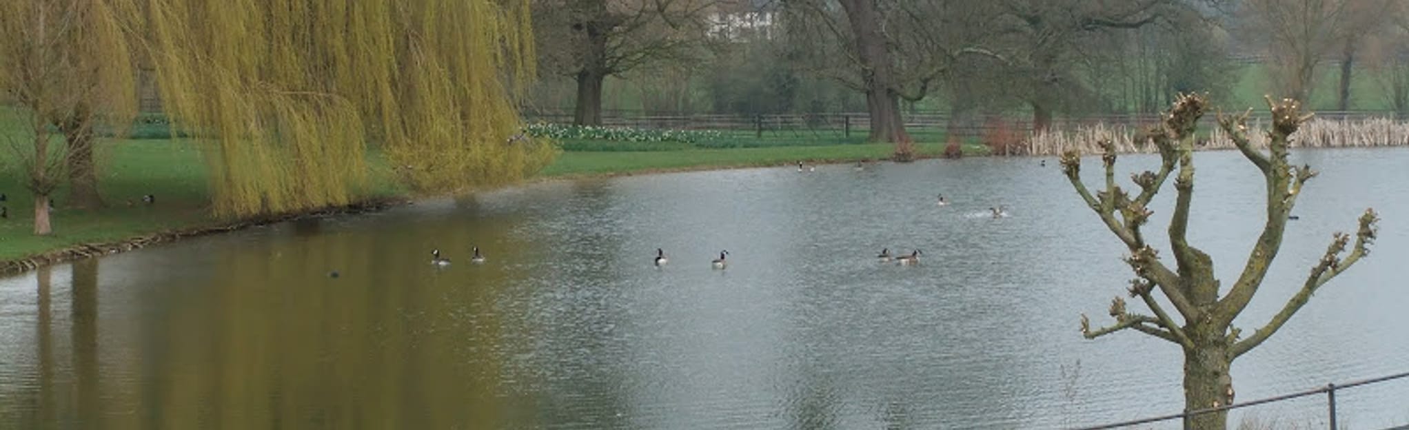 Hawkedon Circular: 2 Reviews, Map - Suffolk, England | AllTrails