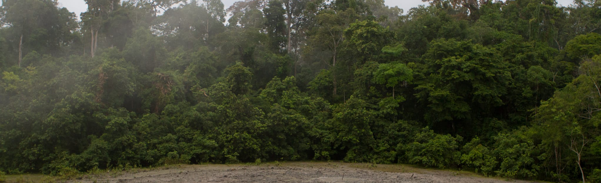 Tabin Wildlife Reserve: 0 Reviews, Map - Sabah, Malaysia | AllTrails