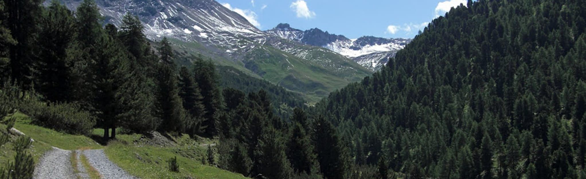 S-chanf - Cassana Pass - Livigno: 1 Reviews, Map - Graubünden ...