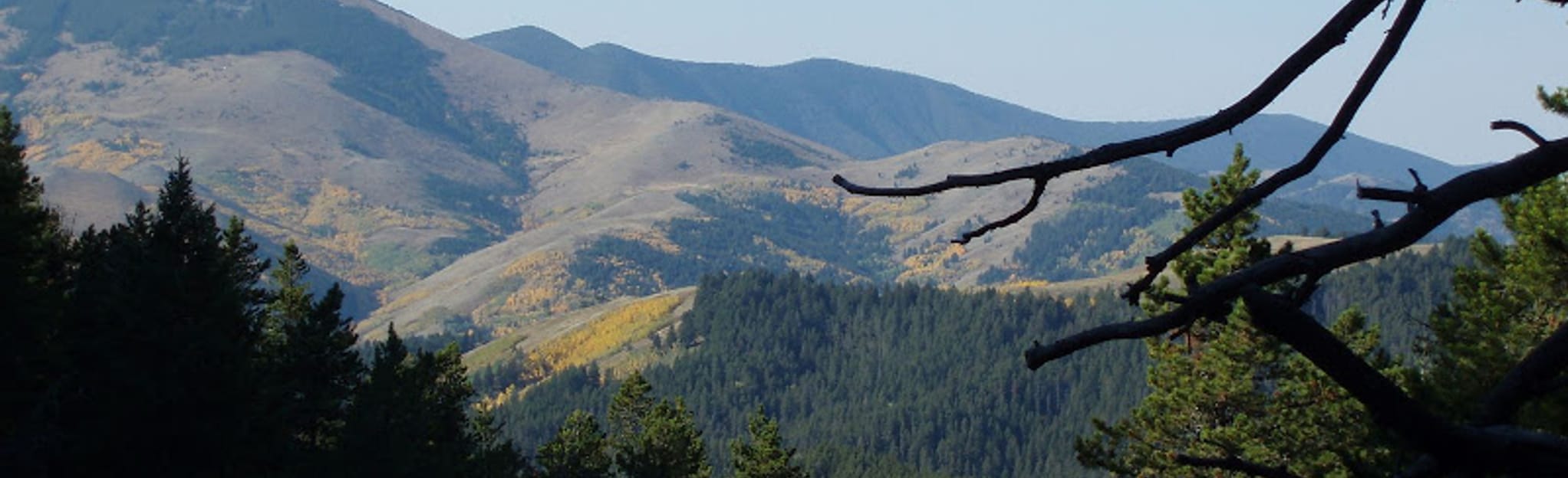 Highwood Mountains Loop Trail | Map, Guide - Montana | AllTrails