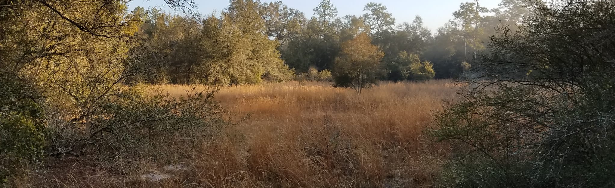 Silver Lake Recreation Area: 78 Reviews, Map - Florida | AllTrails