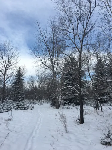 10 Best Trails and Hikes in Saskatoon | AllTrails