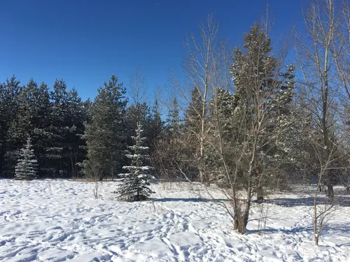 10 Best Trails and Hikes in Meewasin Valley Authority | AllTrails