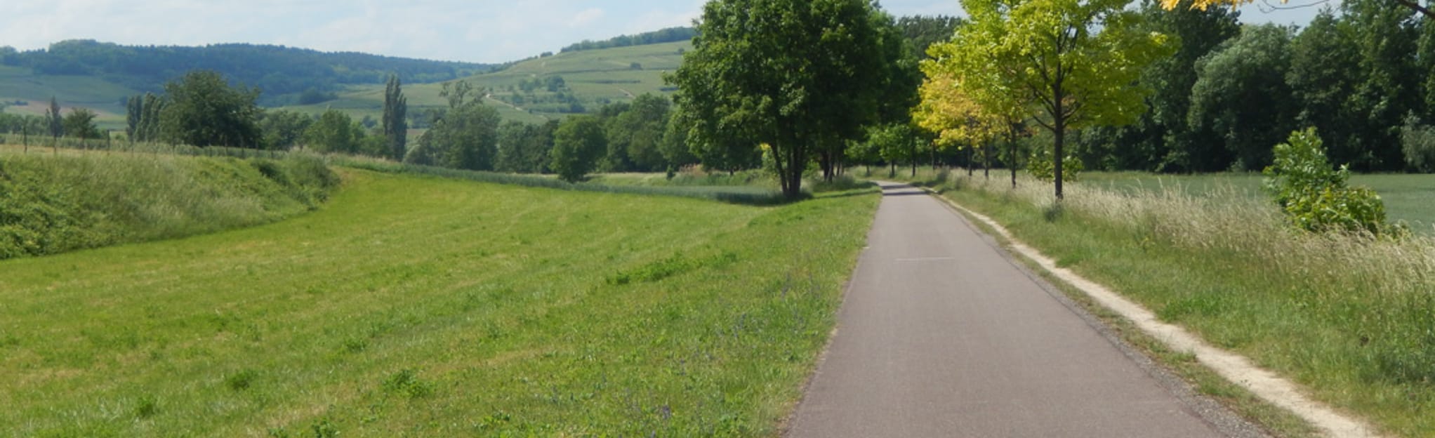 Bacchus cycle route through vineyards, Bas-Rhin, France - 2 Reviews ...