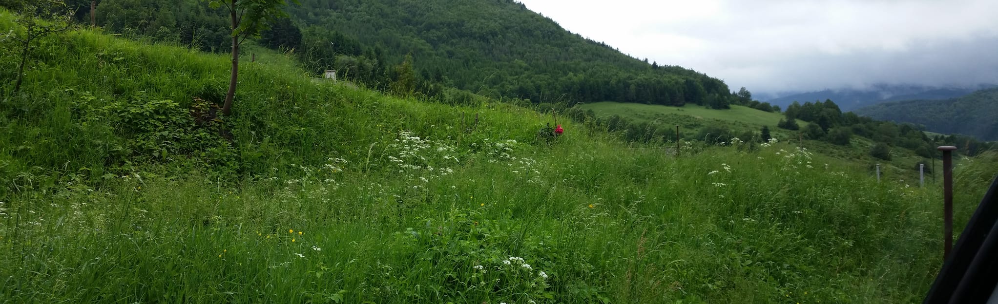 Chvojnica - Gápel: 0 Reviews, Map - Trenčín, Slovakia | AllTrails